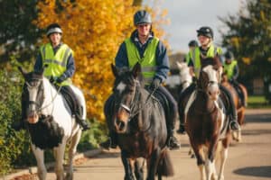 Equine Centre | Stables & Equine Course Facilities | BCA